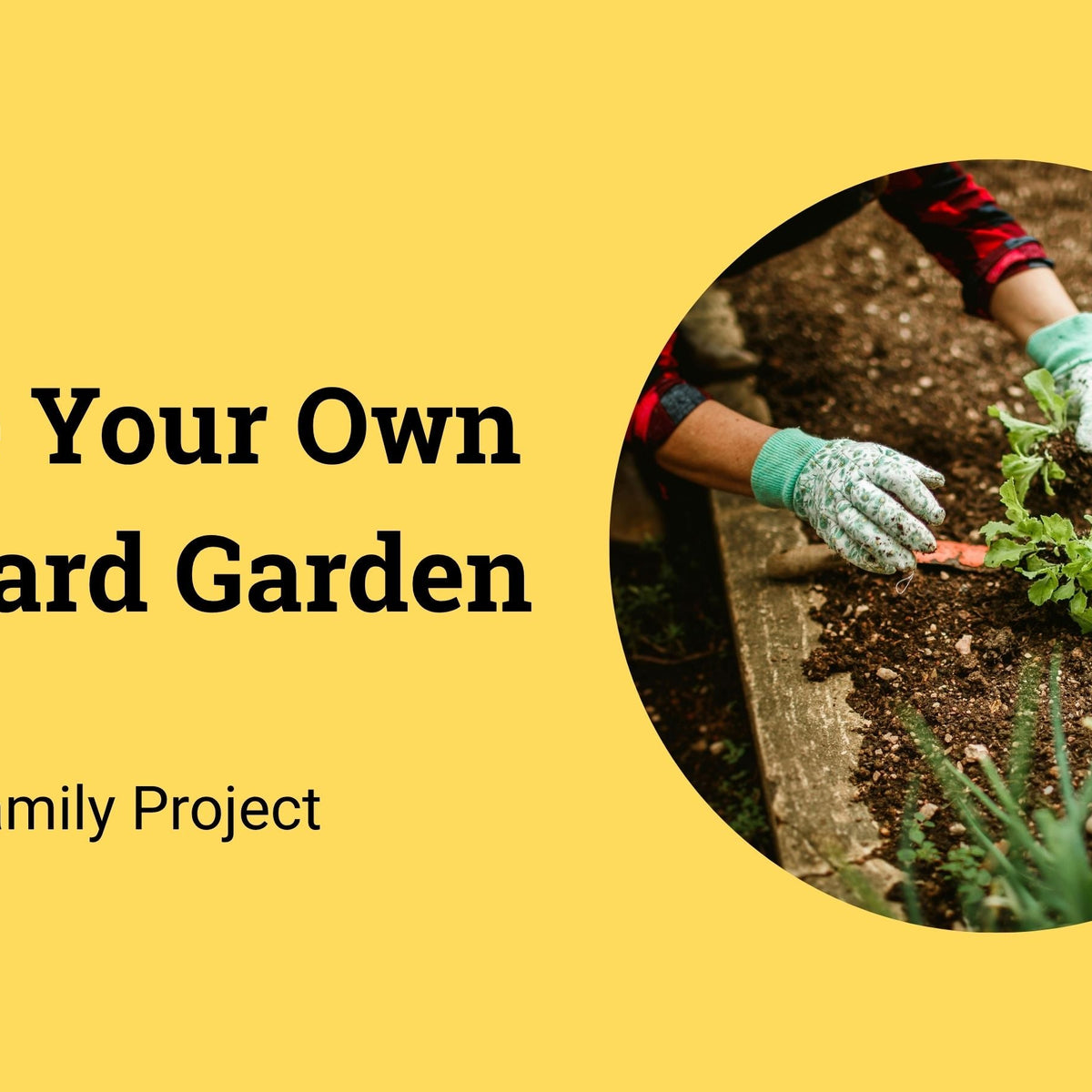 Create Your Own Backyard Garden: A Family Project – Easy Peasie, LLC