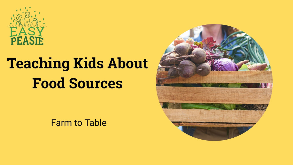 Teaching Kids About Food Sources: Farm to Table – Easy Peasie, LLC